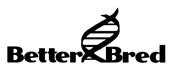 Why We Use the UC Davis Canine Genetic Diversity Test – BetterBred.com