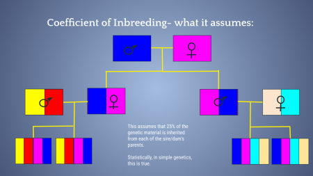 COI is useless? — BetterBred Journal